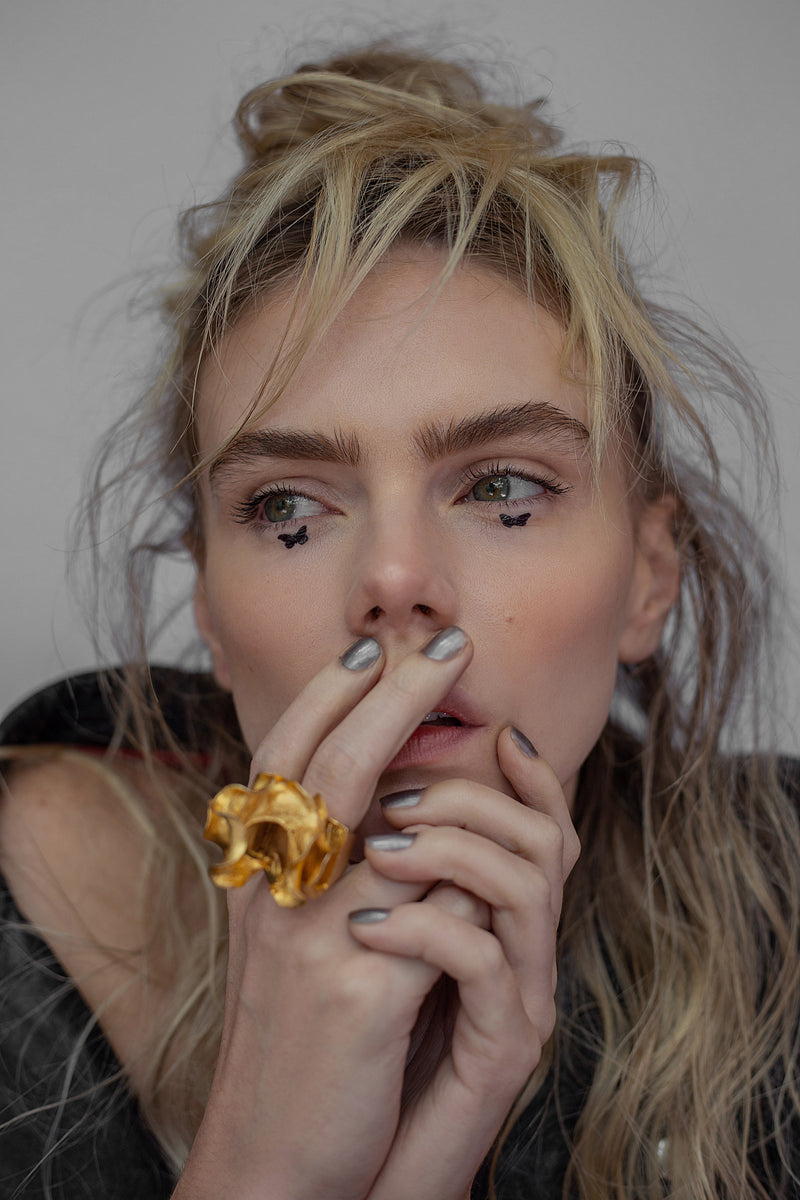 Campaña 2019 – FAZÁN